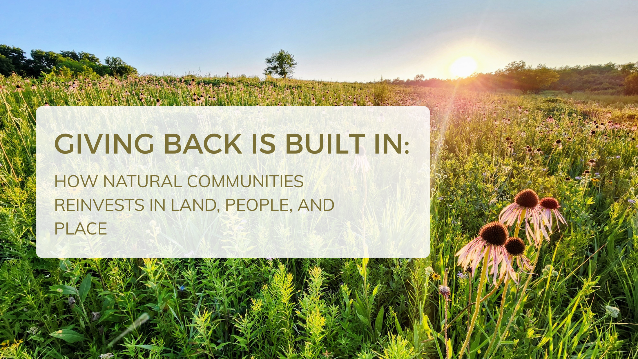 Giving Back Is Built In: How Natural Communities Reinvests in Land, Pe ...