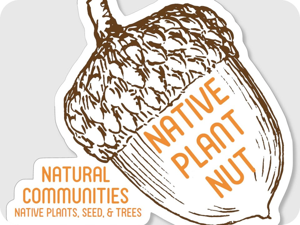 Native Plant Nut Shop – Natural Communities LLC